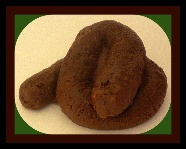 Soap - Poop Soap - Gag Gift - Prank - Cocoa Scented on Luulla